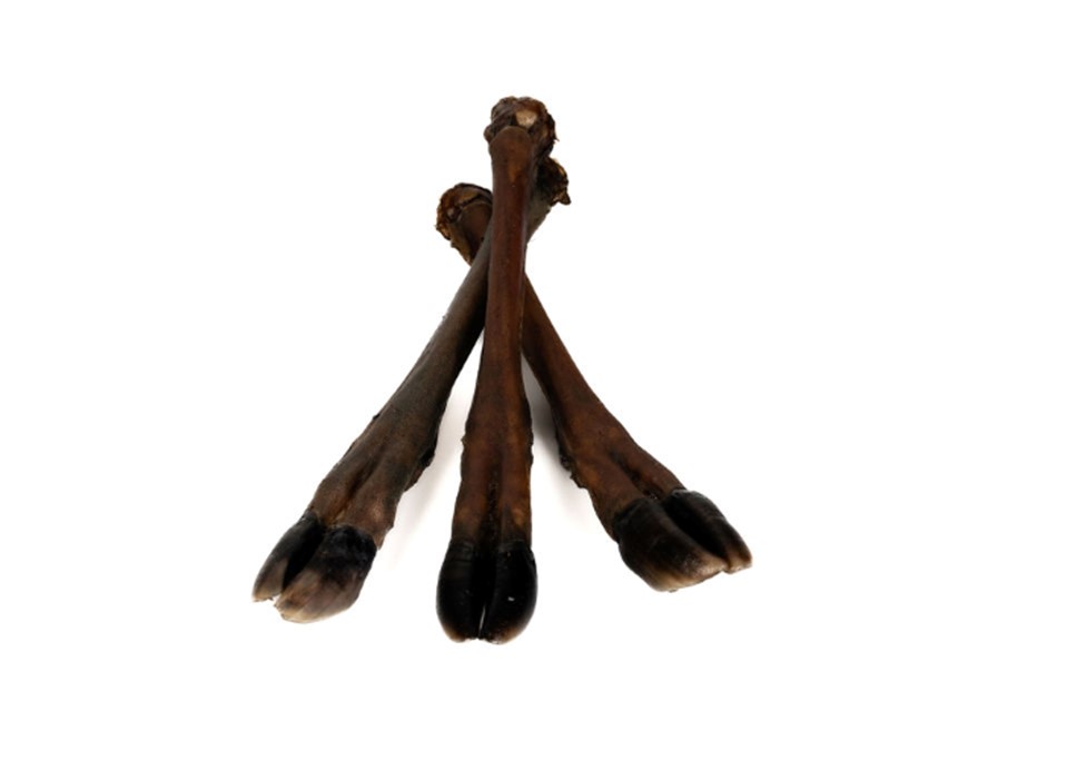 Venison Leg Large