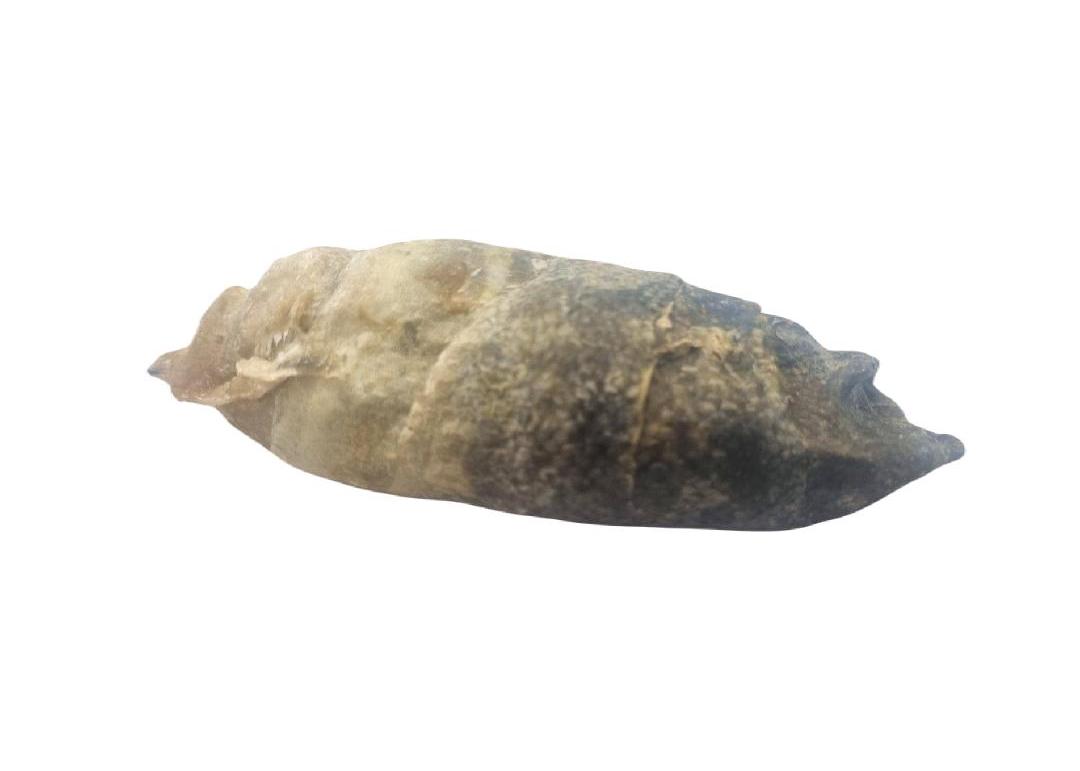 Cod Skin Rolls